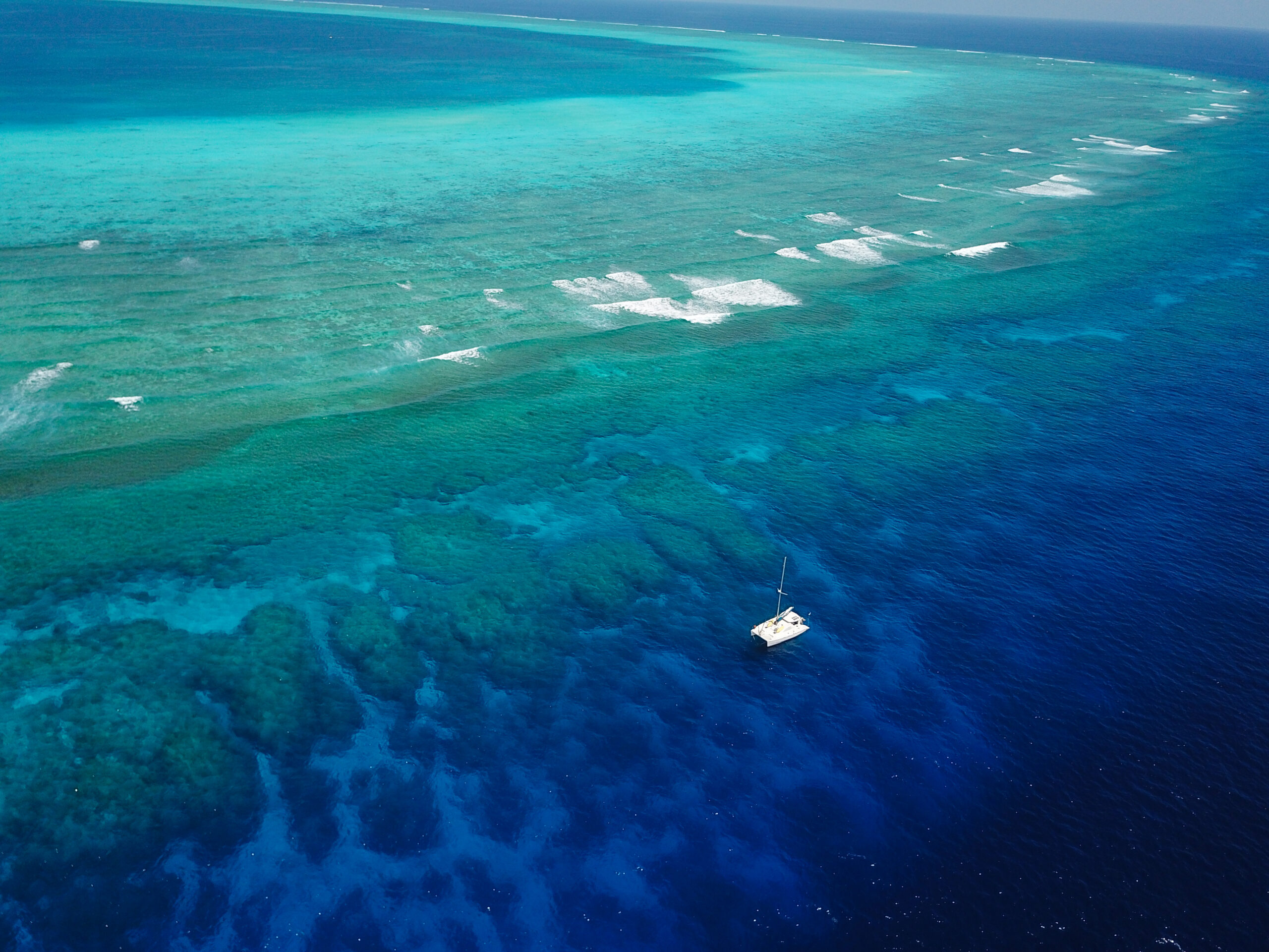 Three Weeks at Sea with Reef Life Survey - OWUSSAustralasia.org